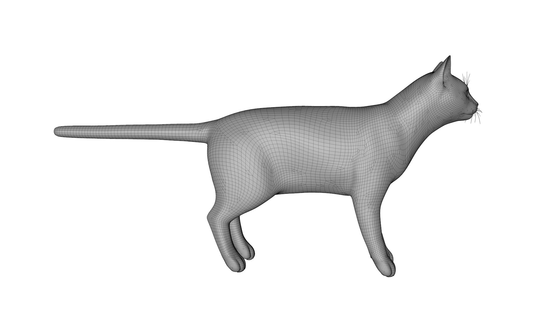 Black Cat Rigged For Cinema 3D - TurboSquid 2069760