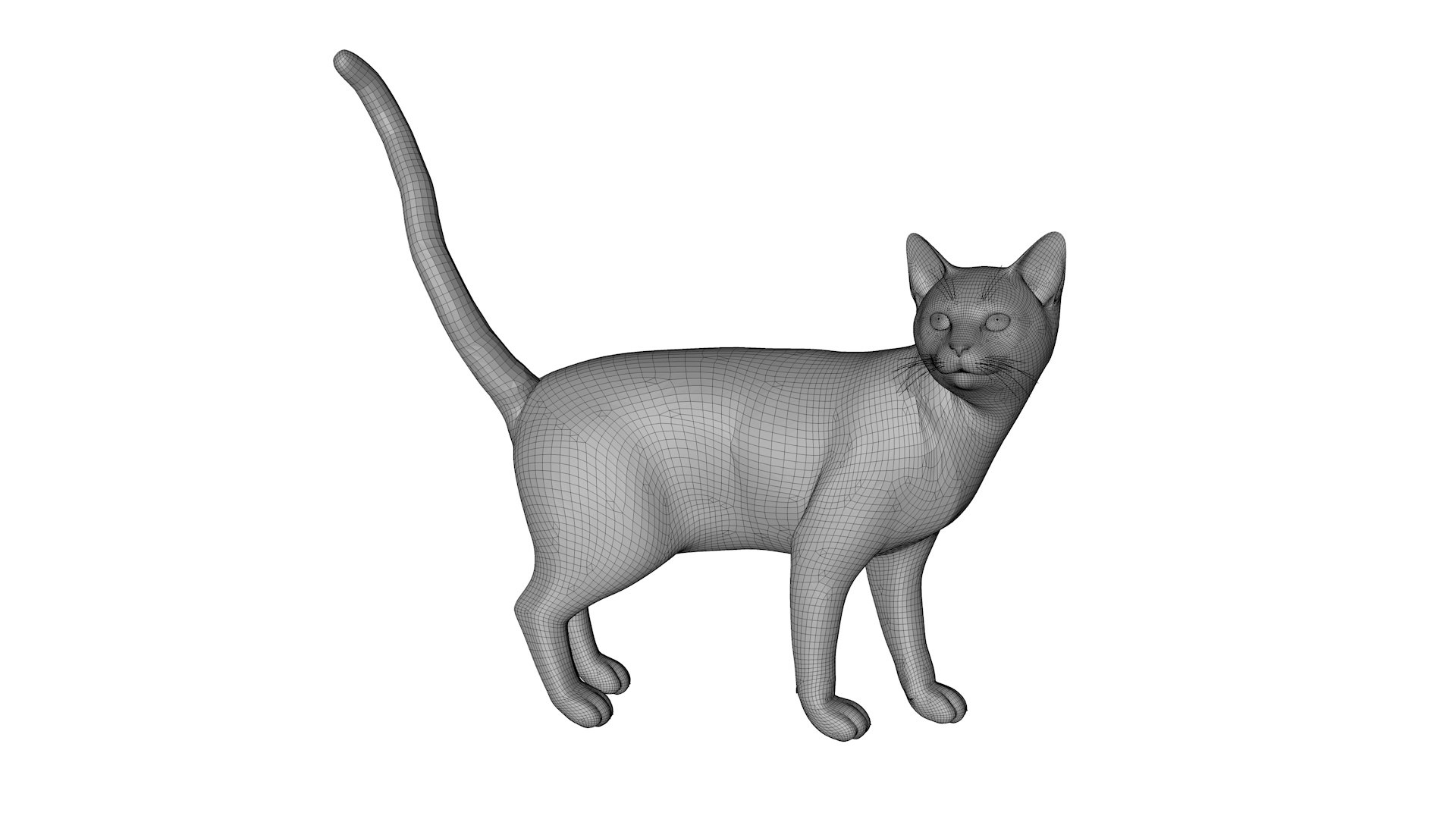 Black Cat Rigged For Cinema 3D - TurboSquid 2069760