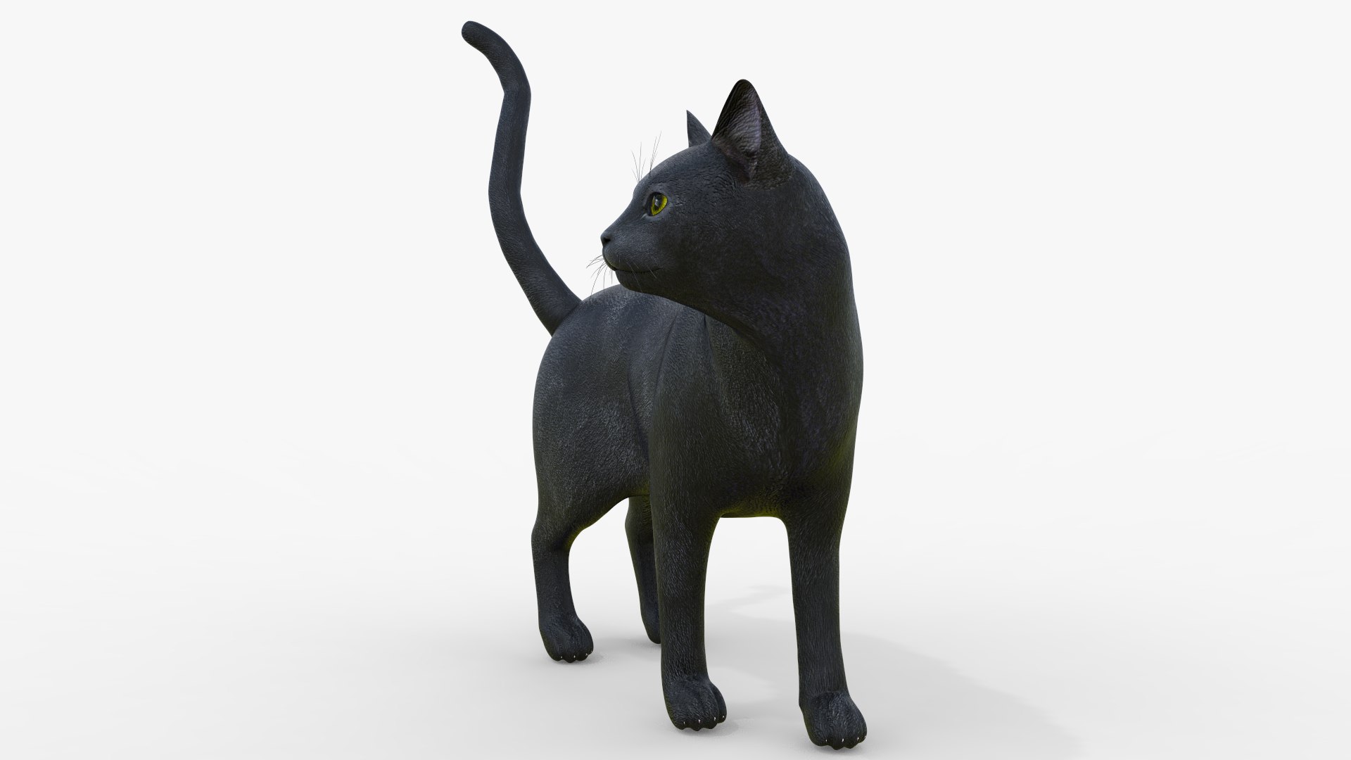 Black Cat Rigged For Cinema 3D - TurboSquid 2069760