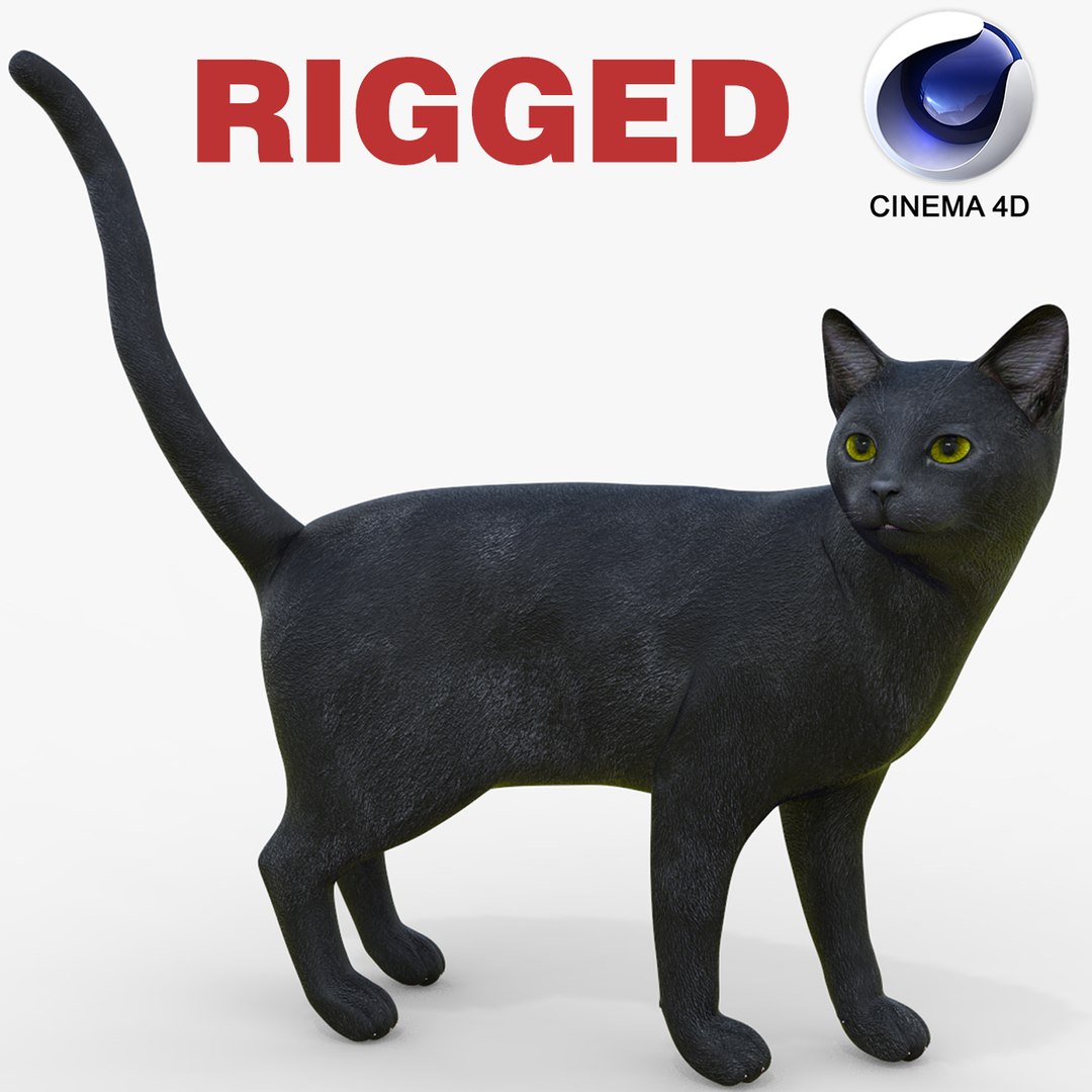 Black Cat Rigged For Cinema 3D - TurboSquid 2069760