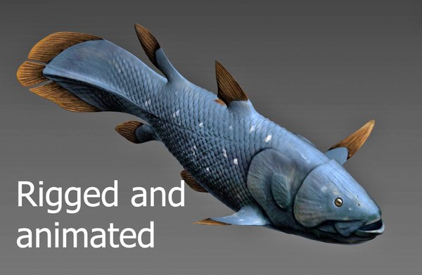 Coelacanth 3D Models for Download | TurboSquid