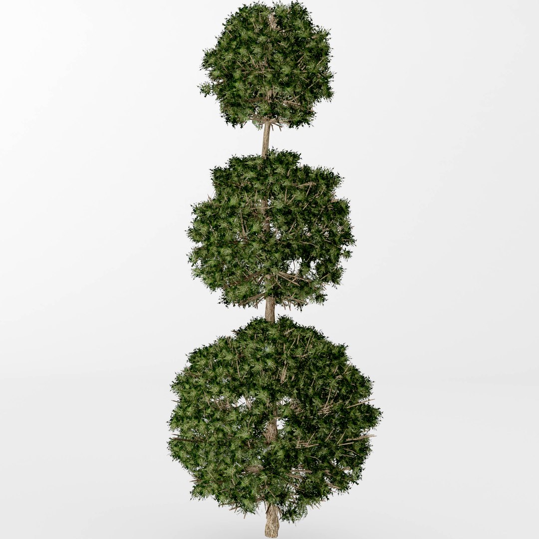 Boxwood Topiary 3D Model - TurboSquid 1408124