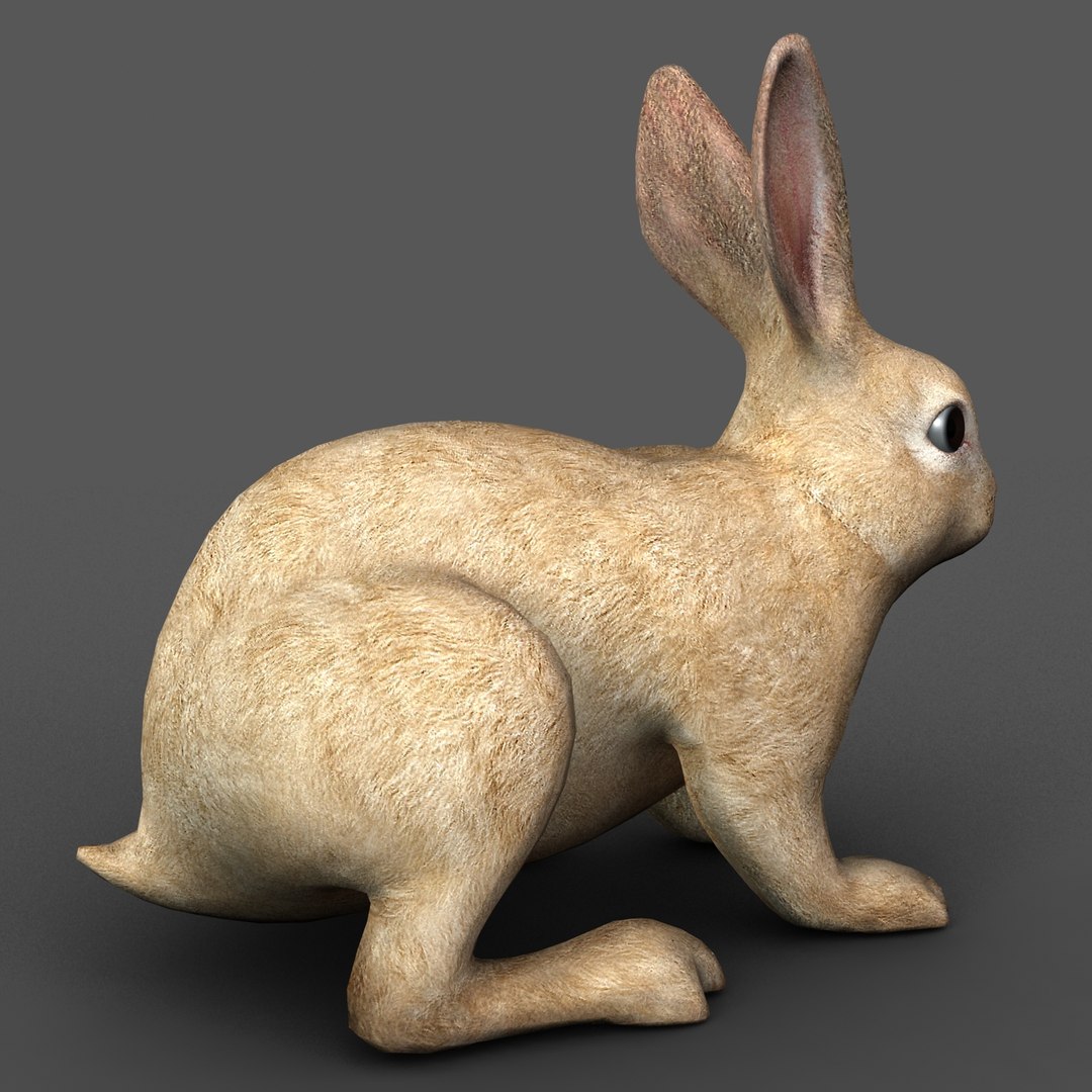 3d Model Rabbit