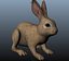 3d Model Rabbit