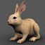 3d Model Rabbit