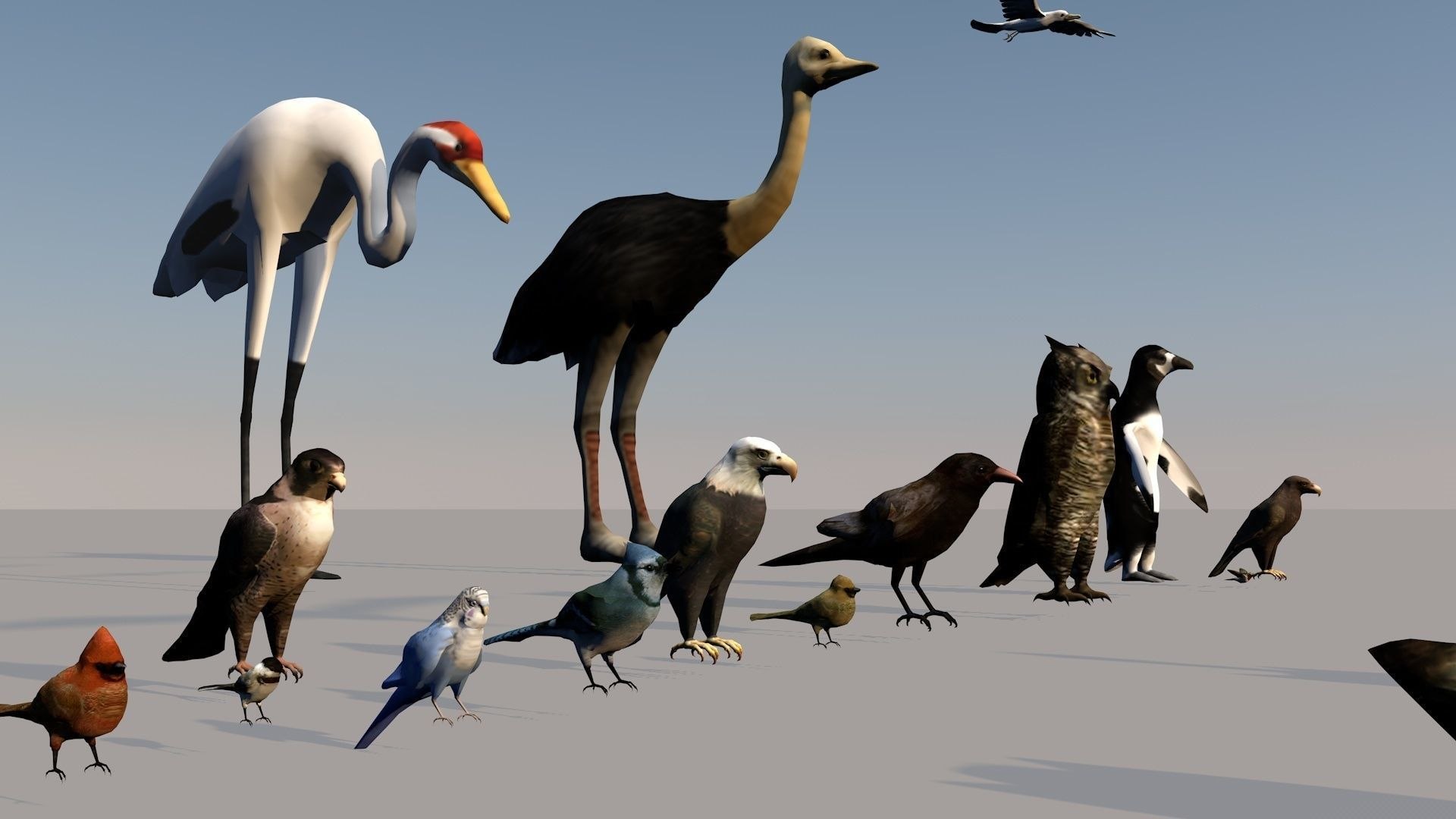 3D model Game ready Low Poly bird collection - TurboSquid 1868367