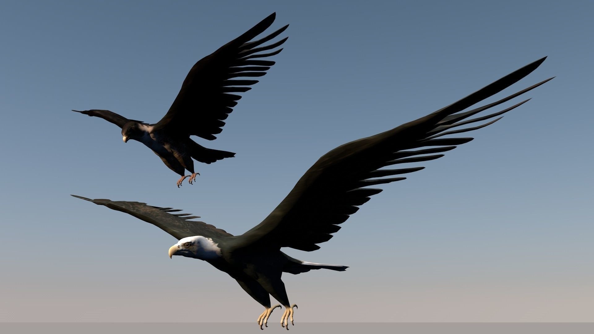 3D model Game ready Low Poly bird collection - TurboSquid 1868367