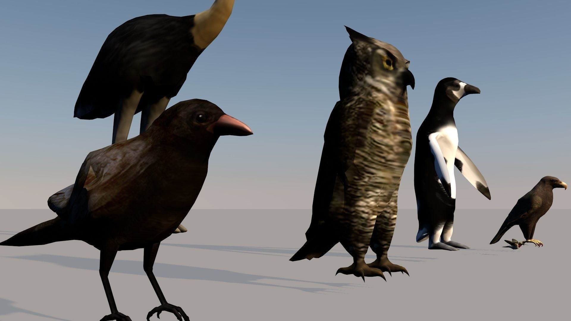 3D model Game ready Low Poly bird collection - TurboSquid 1868367