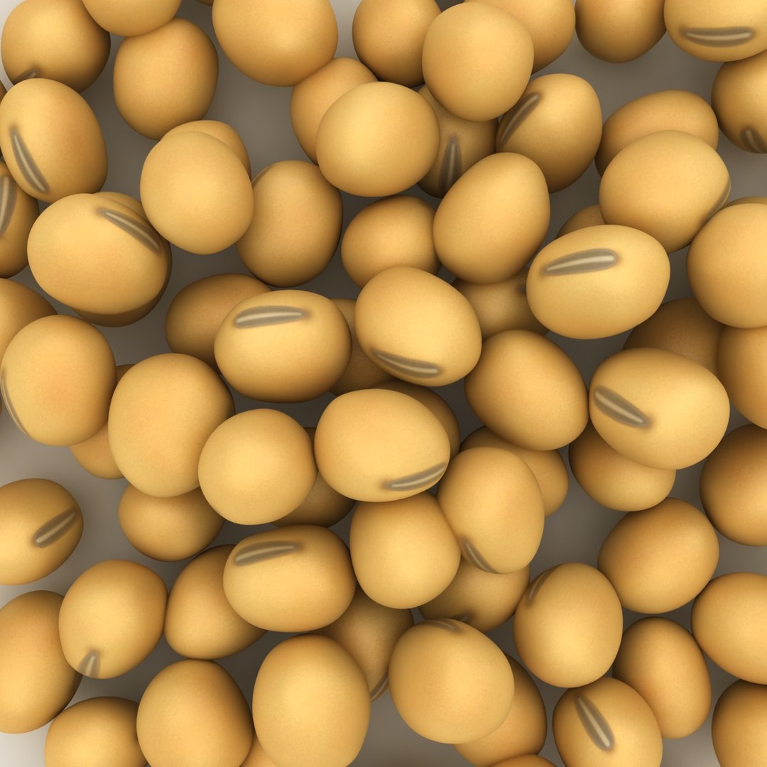 Realistic Soybean Pose 2 3D Model - TurboSquid 1207386