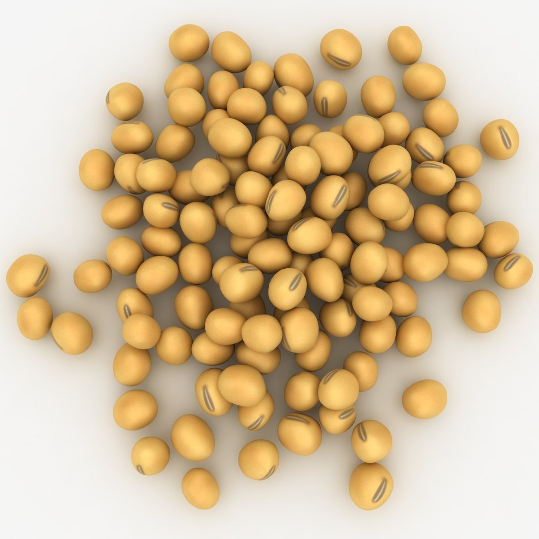 Realistic Soybean Pose 2 3D Model - TurboSquid 1207386