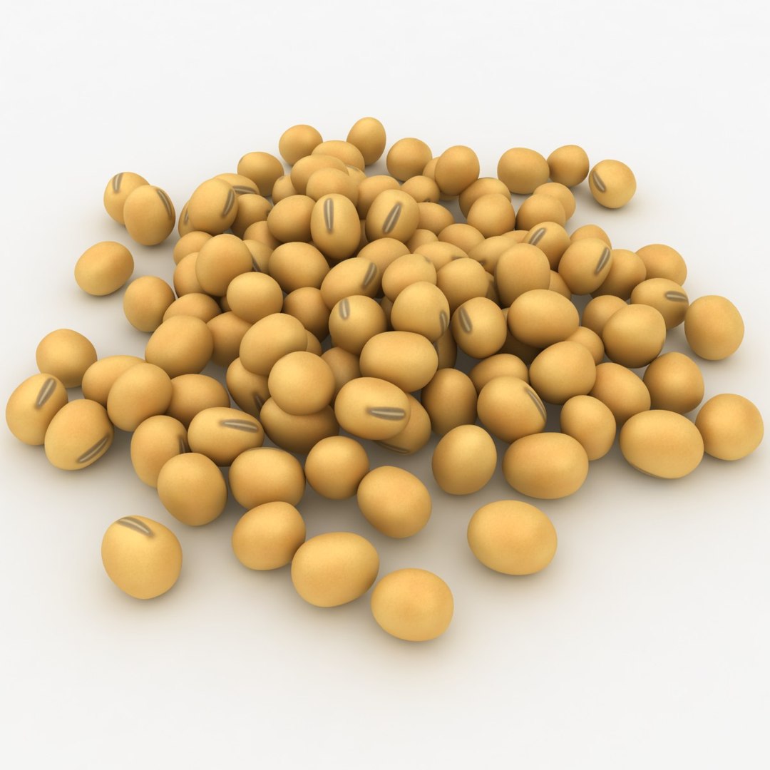 Realistic Soybean Pose 2 3D Model - TurboSquid 1207386