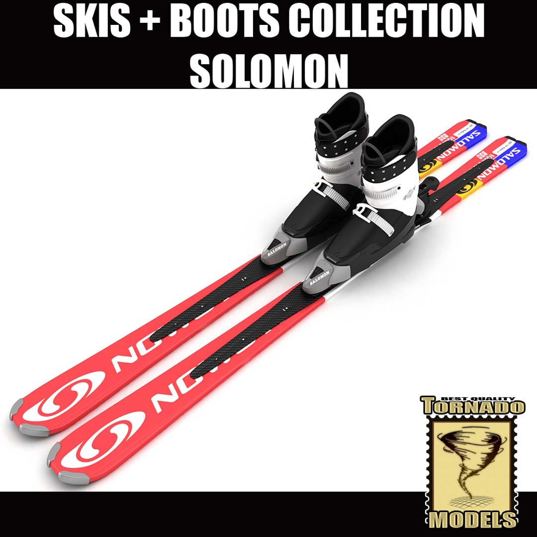 Alpine Solomon Skis Boots 3d Model