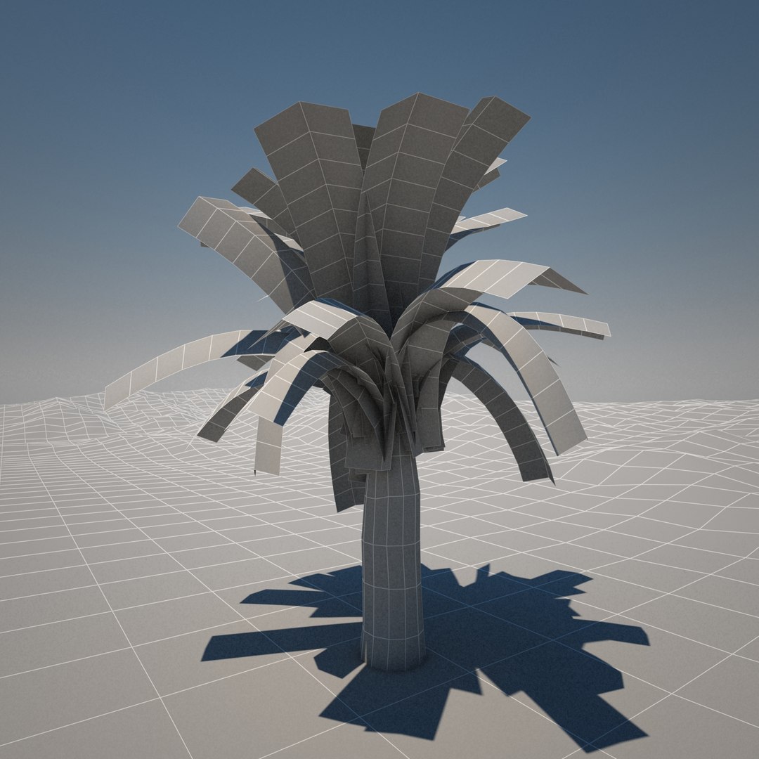 3d Medium Palm Tree