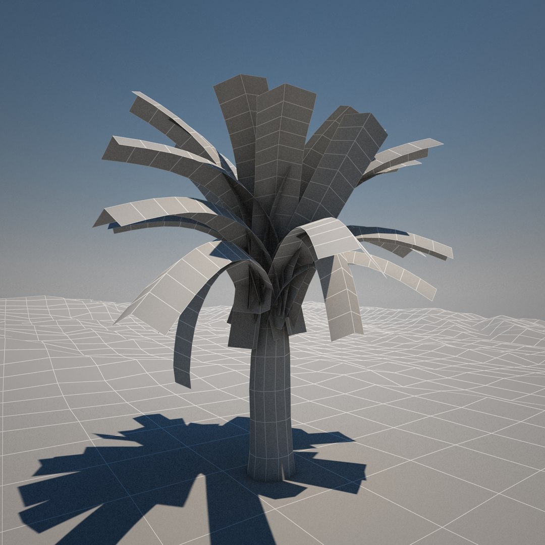 3d Medium Palm Tree