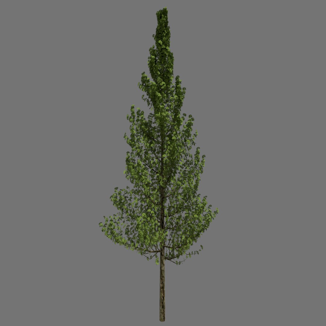 3d Basic Tree