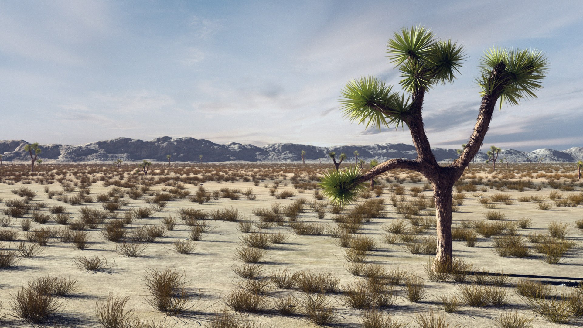 3d Model Desert Landscape