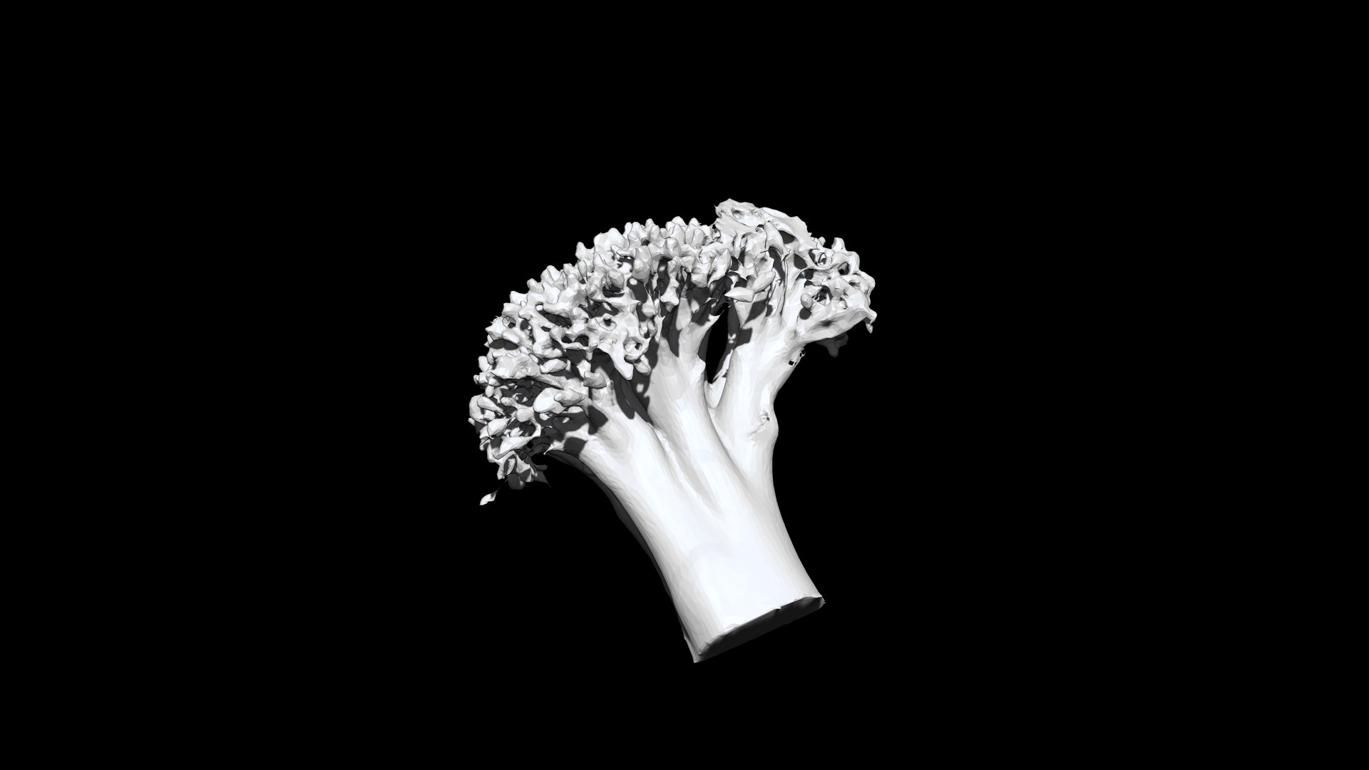 Broccoli Cut 3D CT Scan Model 6 Decimate 50percent Model - TurboSquid ...