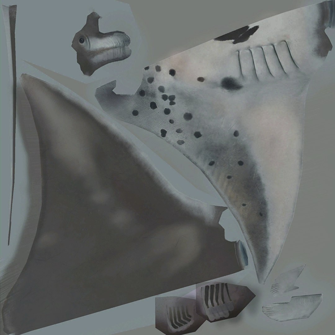 Manta Ray RIGGED Model - TurboSquid 2330482