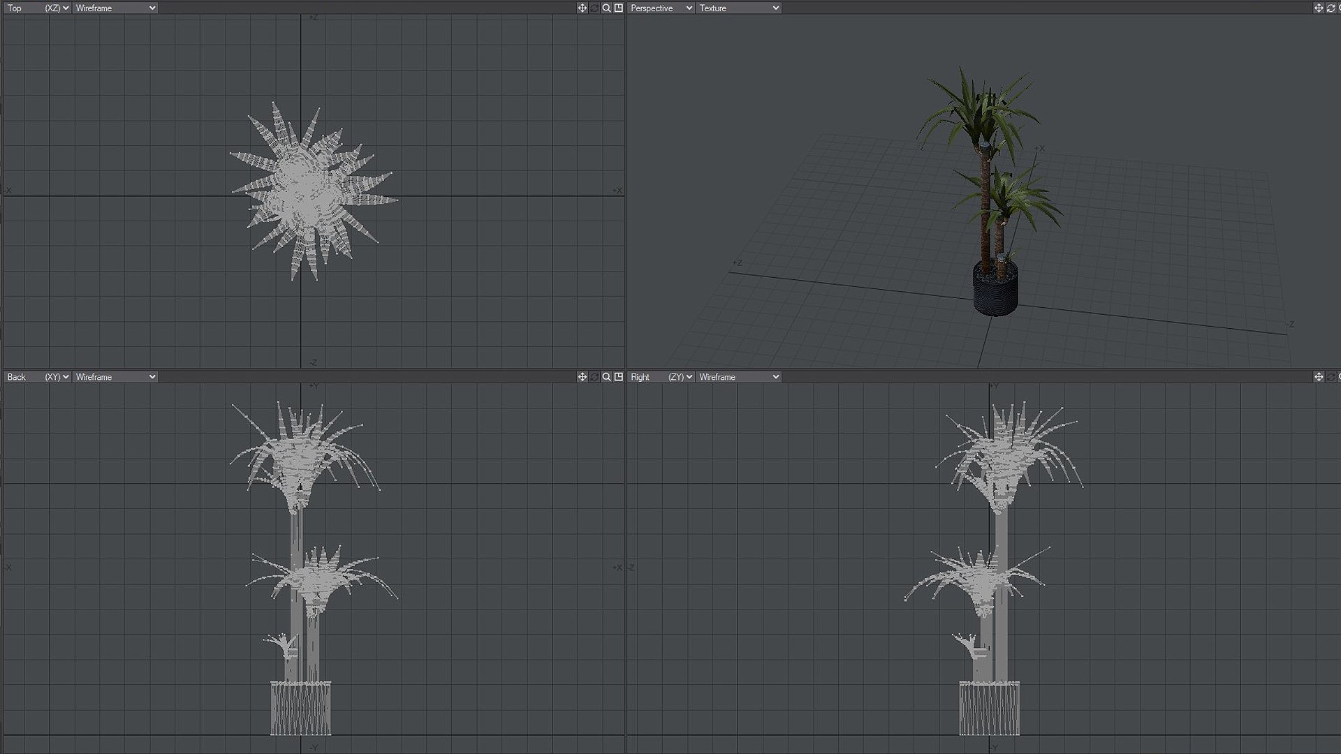 Yucca Plant Model - TurboSquid 1955123