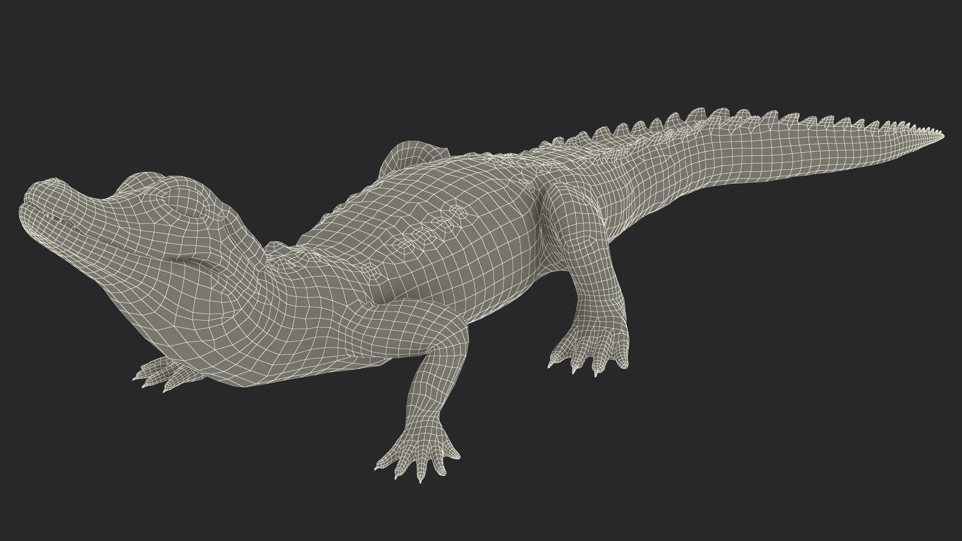 3D Black Caiman Baby Looks Up - TurboSquid 2211830