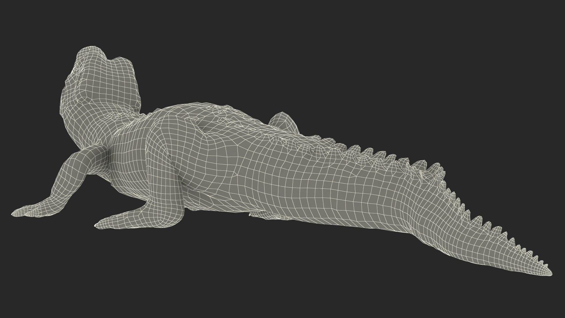3D Black Caiman Baby Looks Up - TurboSquid 2211830