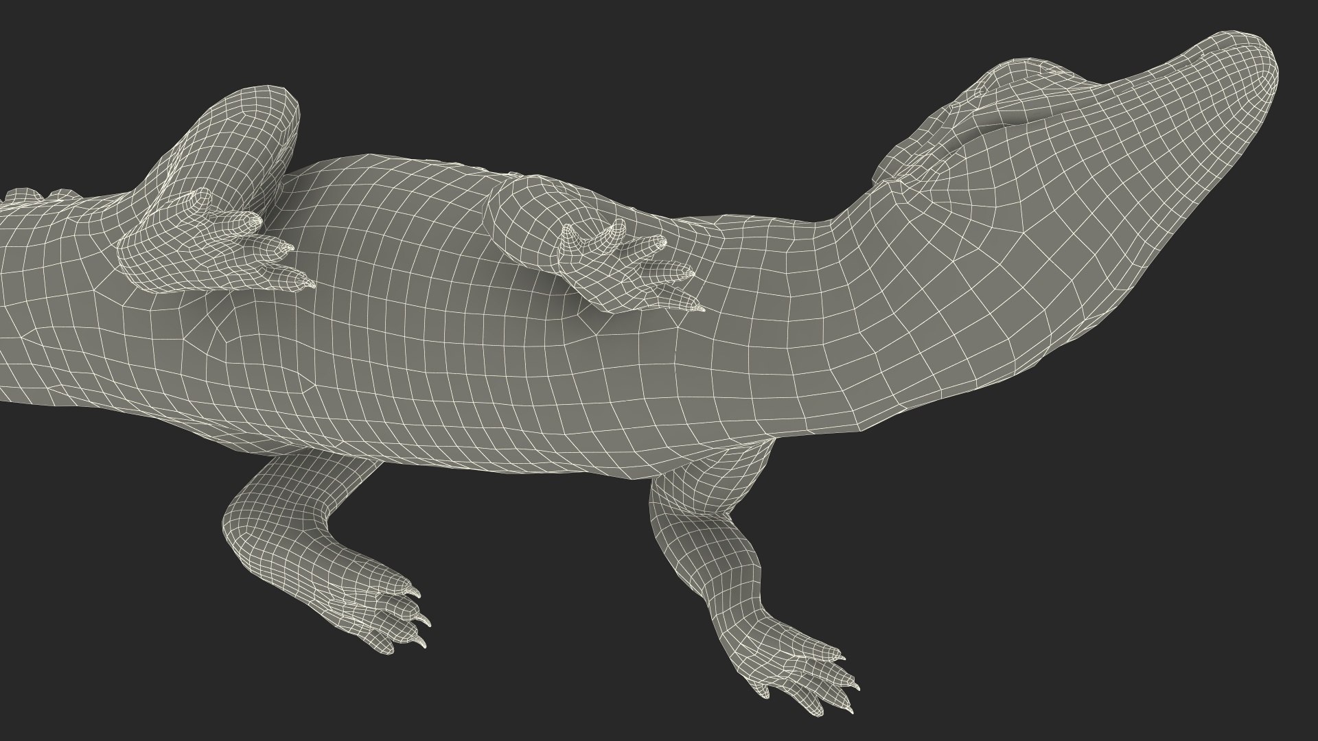3D Black Caiman Baby Looks Up - TurboSquid 2211830