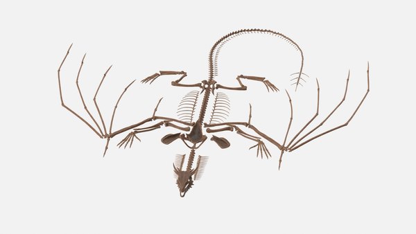 modelo 3d Esqueleto fosilizado de dragón en estado desplegado para ...