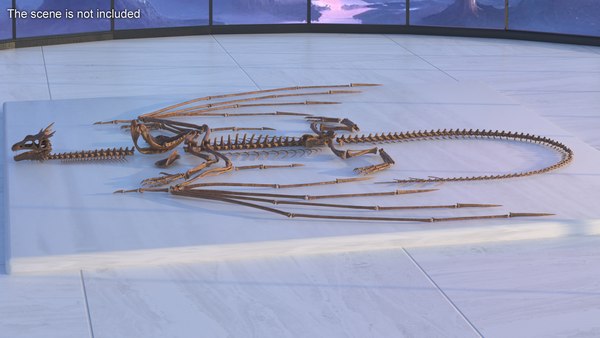 modelo 3d Esqueleto fosilizado de dragón en estado desplegado para ...