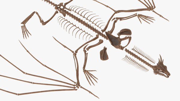 modelo 3d Esqueleto fosilizado de dragón en estado desplegado para ...
