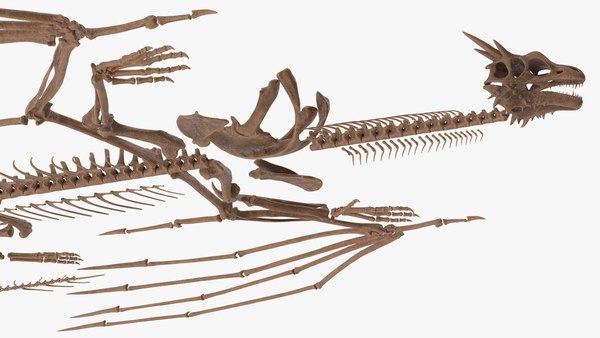 modelo 3d Esqueleto fosilizado de dragón en estado desplegado para ...