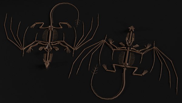 modelo 3d Esqueleto fosilizado de dragón en estado desplegado para ...