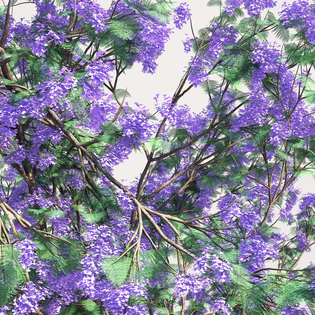 flower tree 3d model