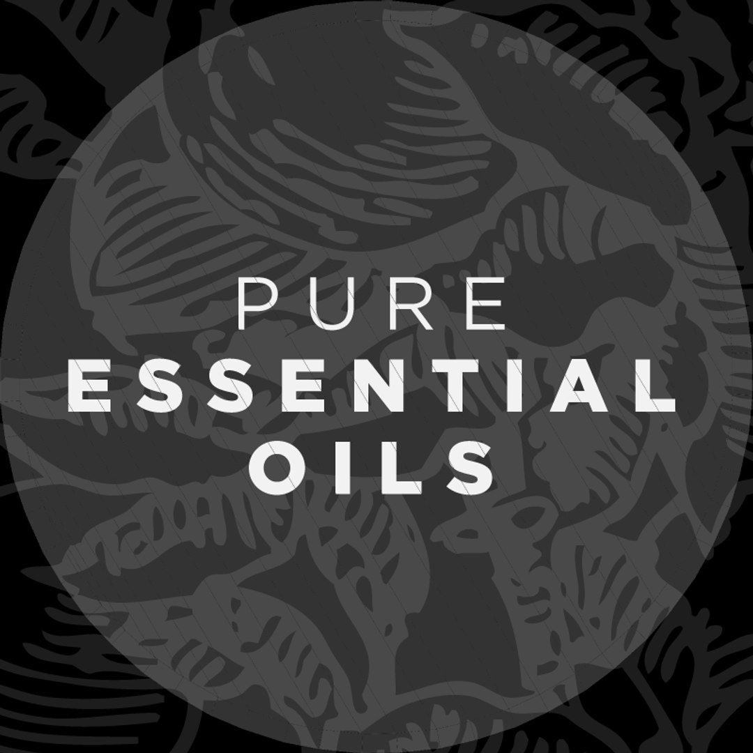 Generic Essential Oil Glass Bottles 5ml And 10ml 3D Model - TurboSquid ...