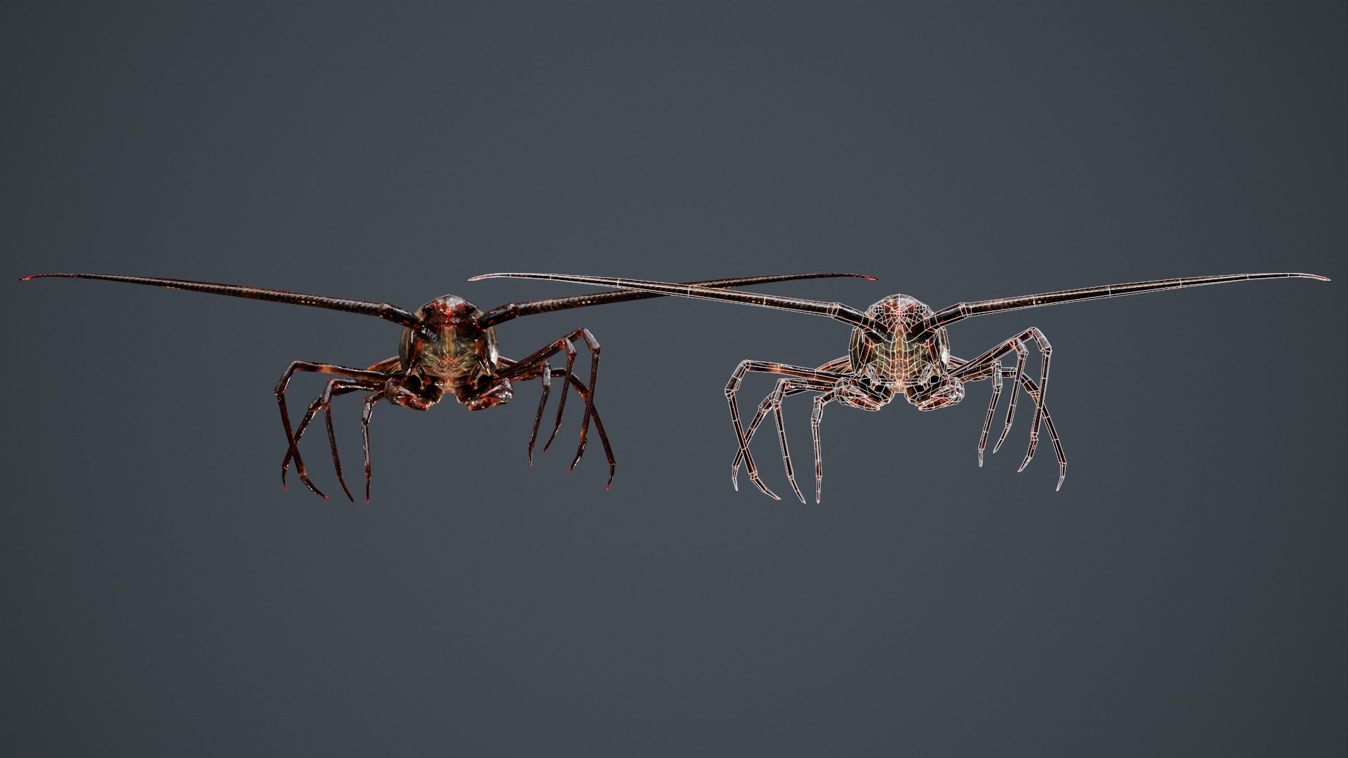 Lobster - PBR Game Ready Model - TurboSquid 1892481