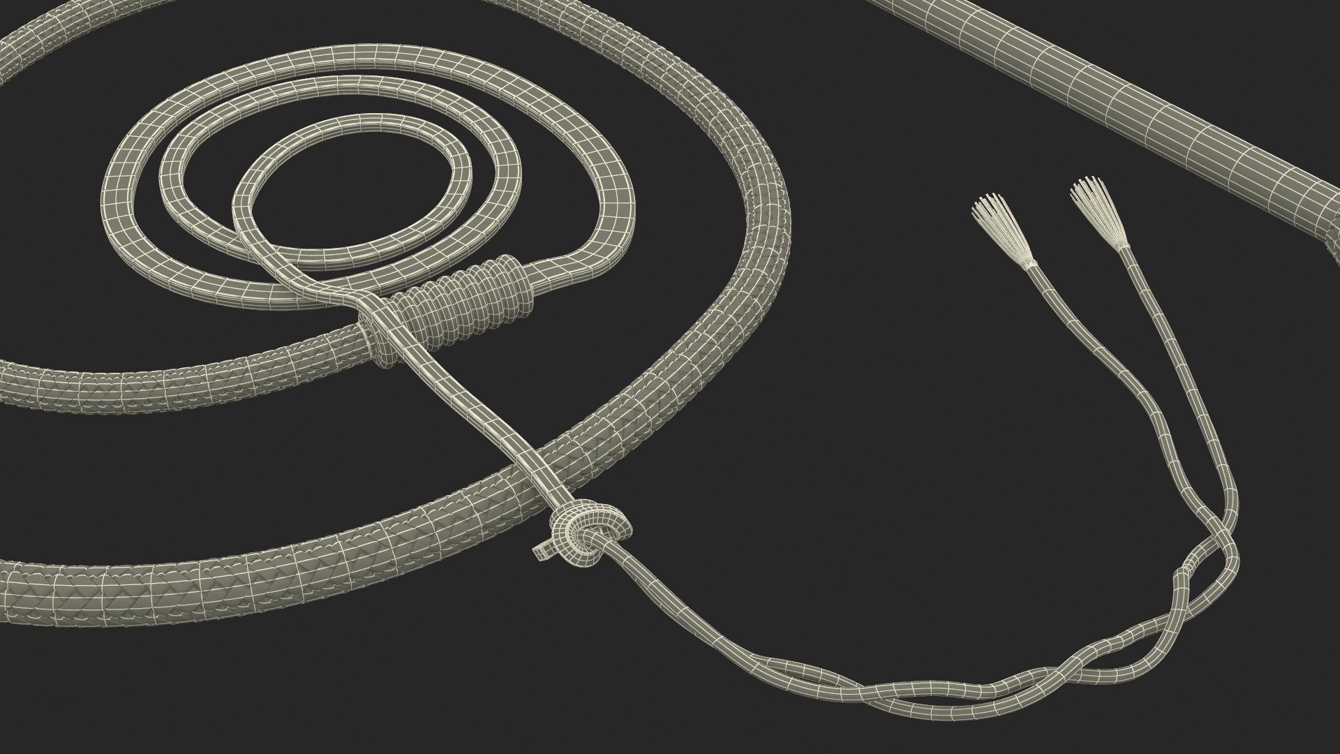 Historical Leather Whip Coiled Black Model - TurboSquid 2211490