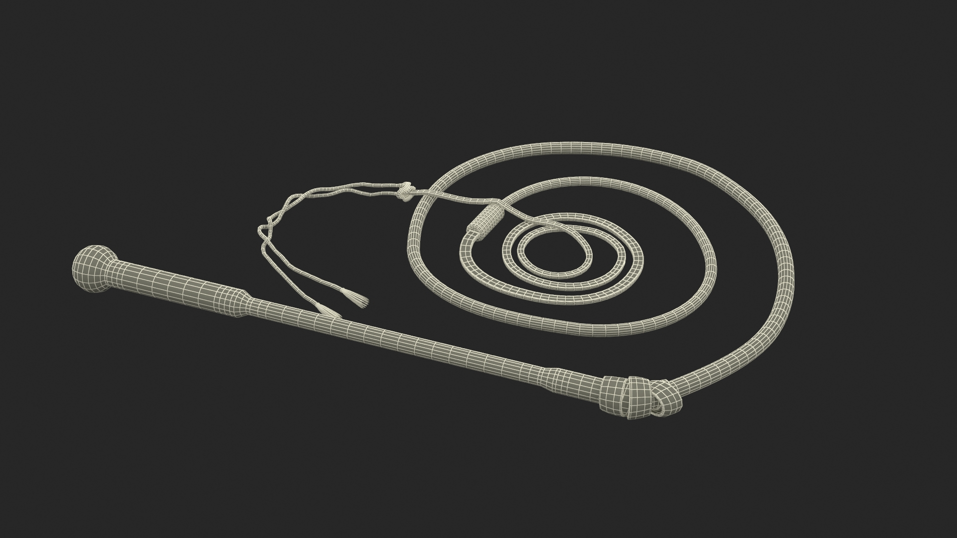 Historical Leather Whip Coiled Black Model - TurboSquid 2211490