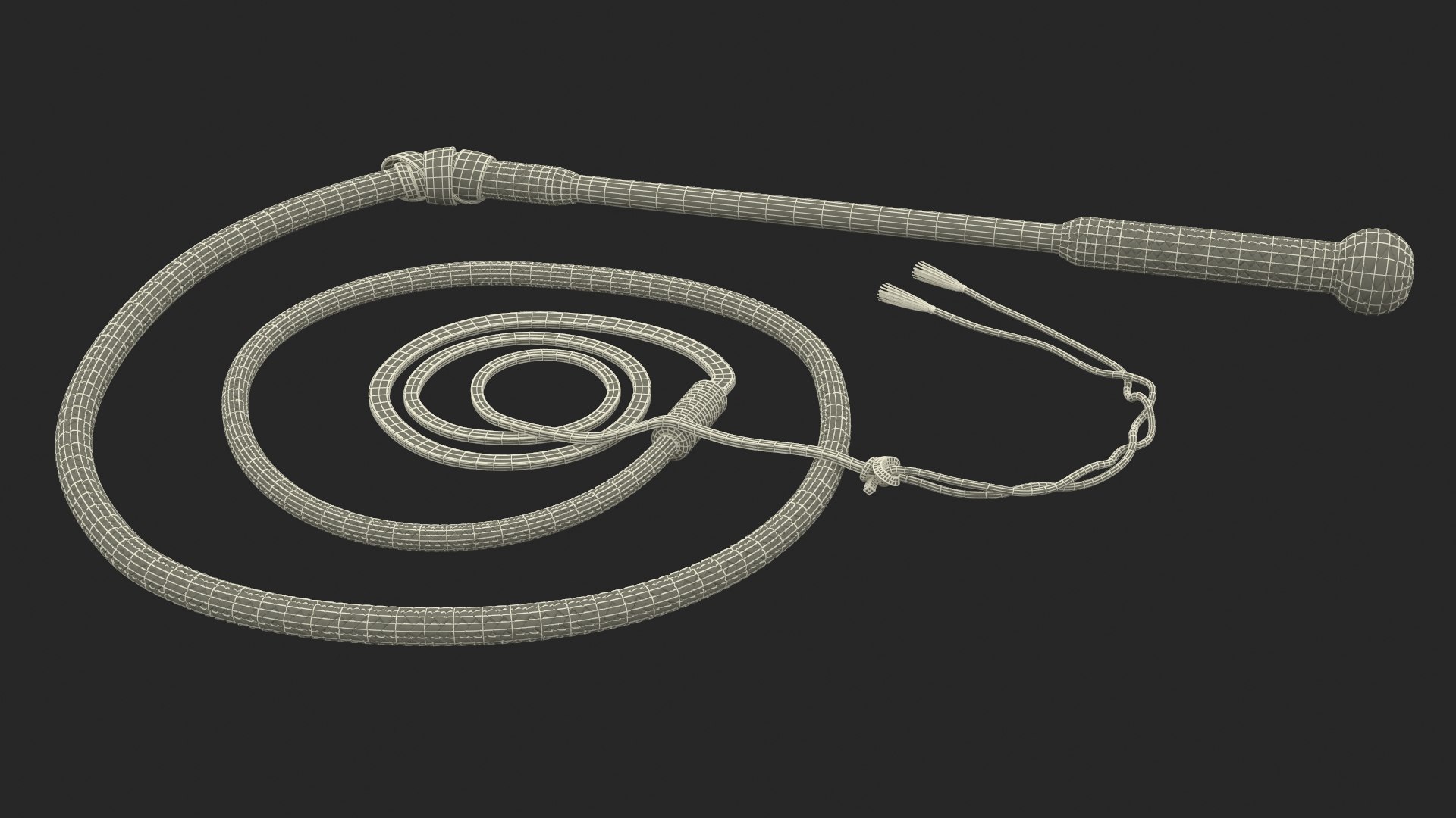 Historical Leather Whip Coiled Black Model - TurboSquid 2211490