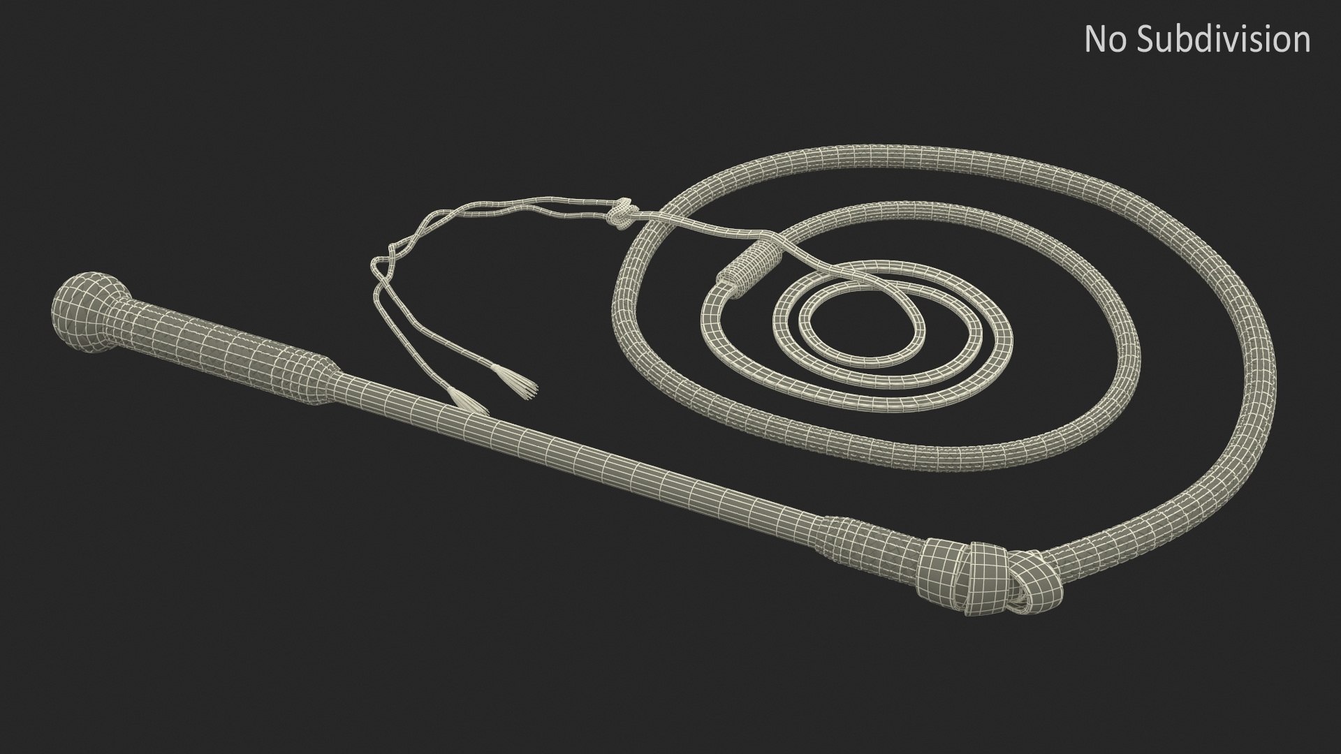 Historical Leather Whip Coiled Black Model - TurboSquid 2211490