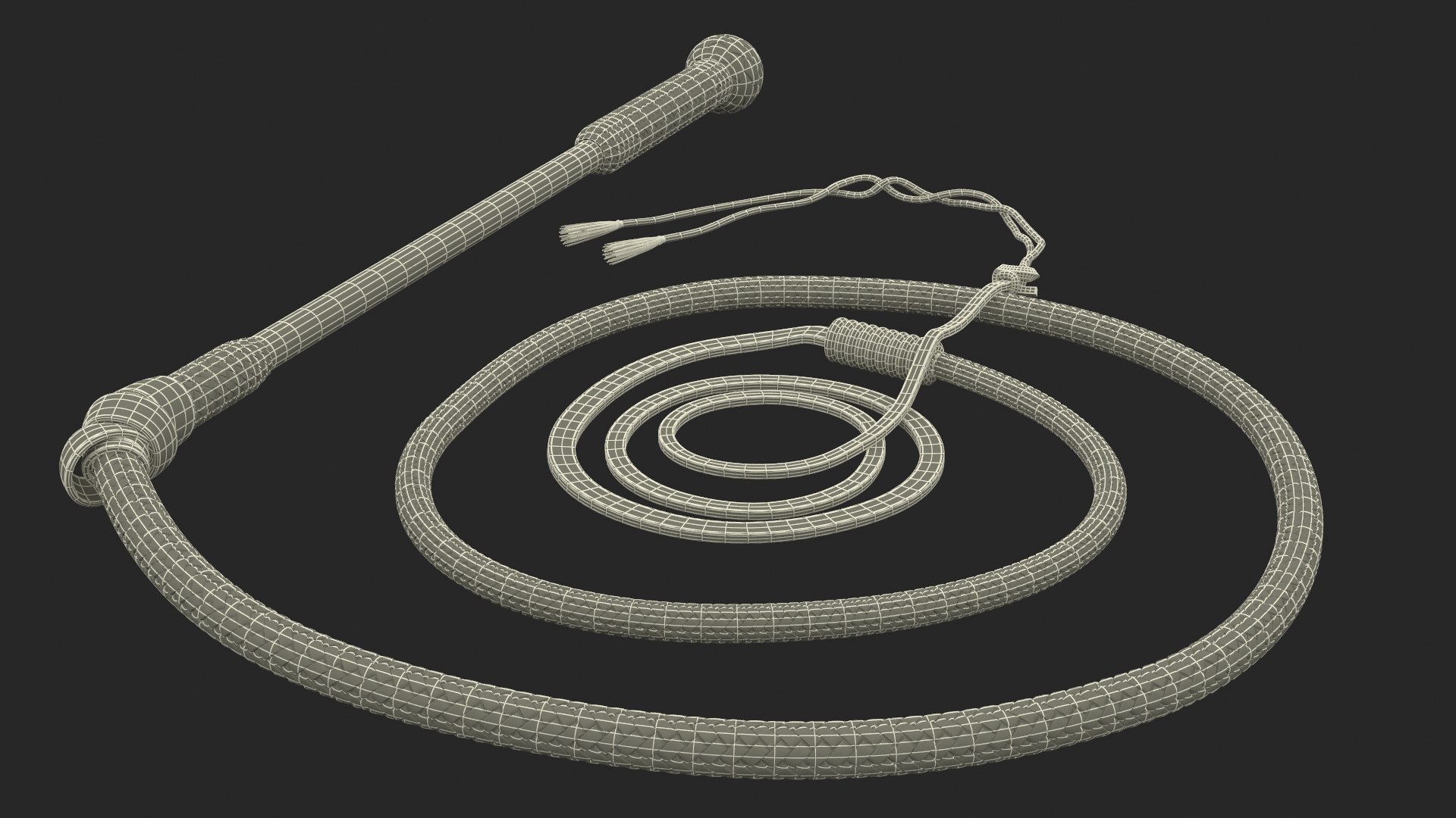 Historical Leather Whip Coiled Black Model - TurboSquid 2211490