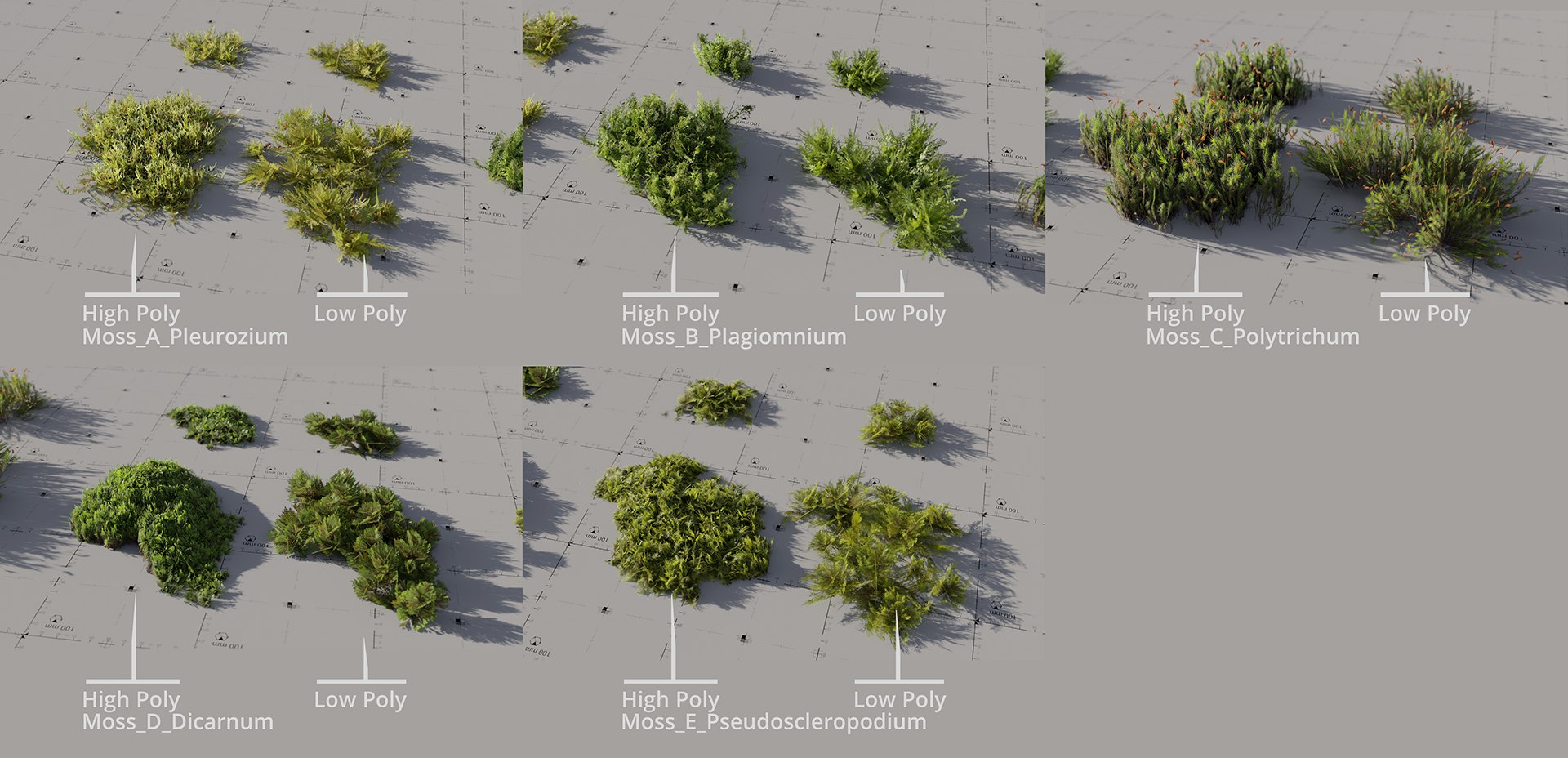 Moss Biome Ground Scatter - 3D AssetKit PBR 3D Model - TurboSquid 1882478