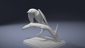 Download Free & Premium Swallow 3D Models | TurboSquid