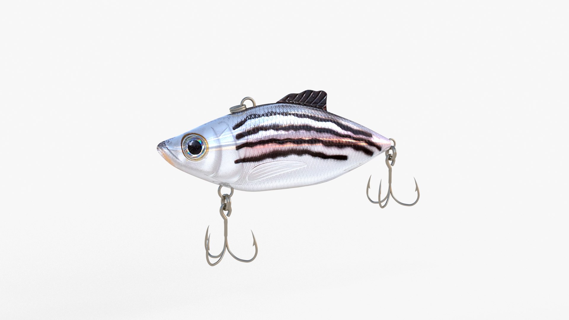 Rattle Shad 3D Model - TurboSquid 1780073