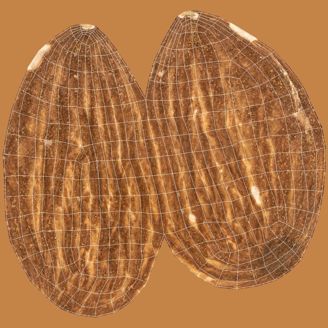 3D Realistic 3 Almonds - TurboSquid 1372162