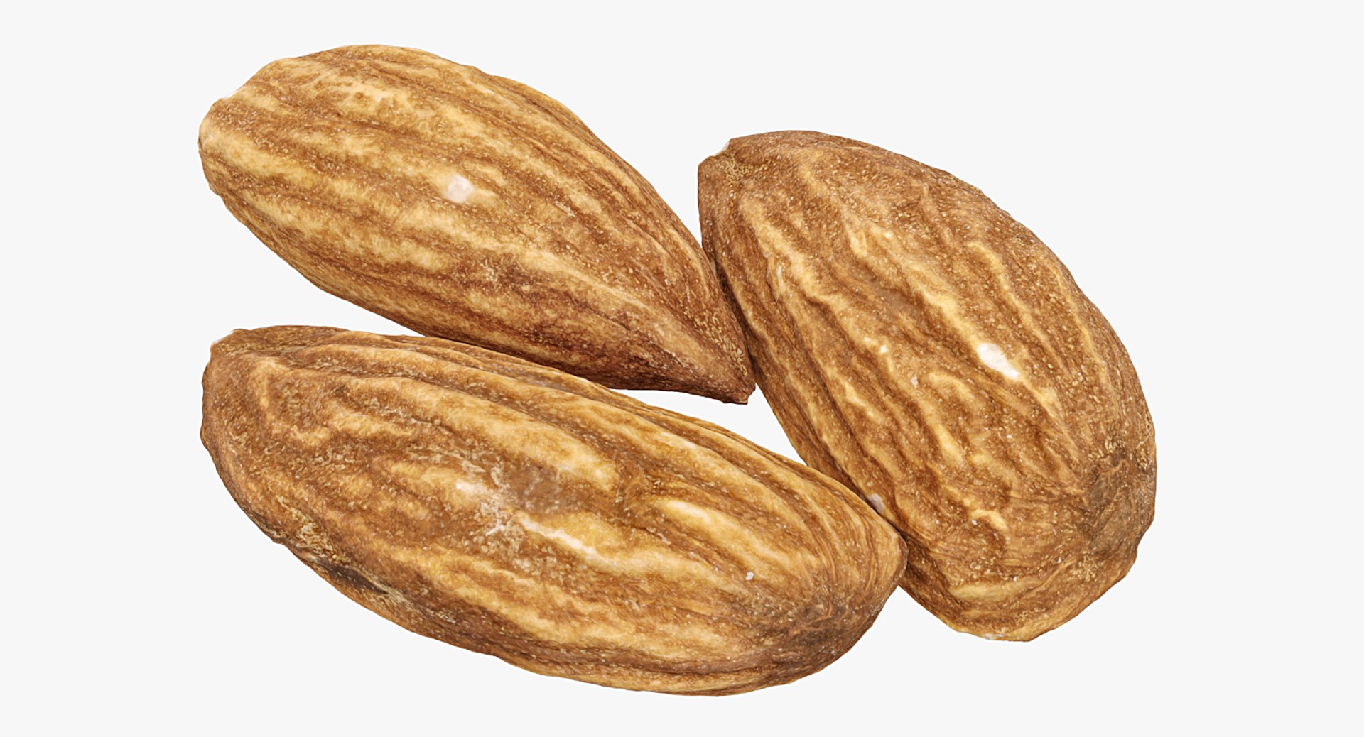 3D Realistic 3 Almonds - TurboSquid 1372162