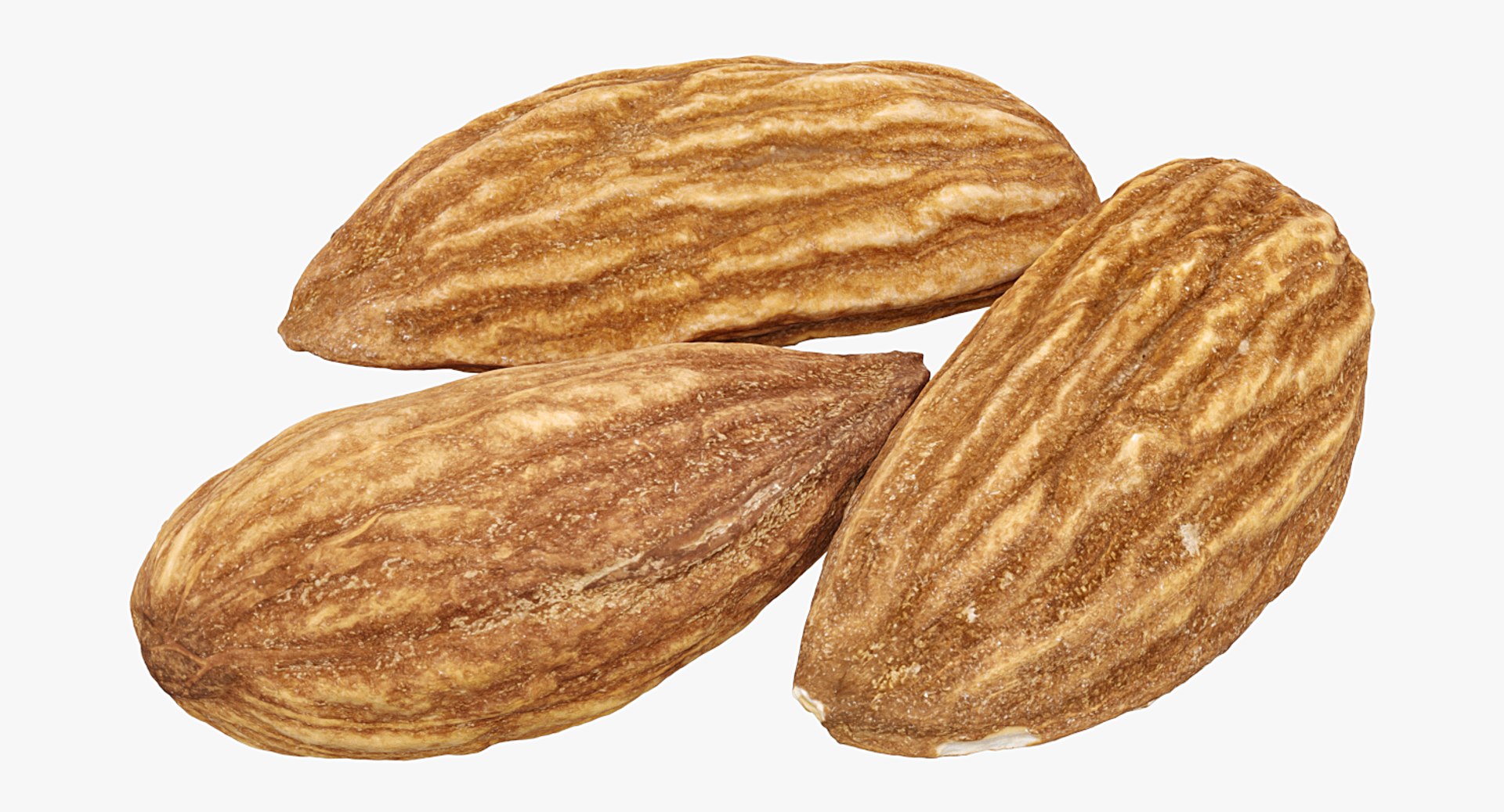 3D Realistic 3 Almonds - TurboSquid 1372162