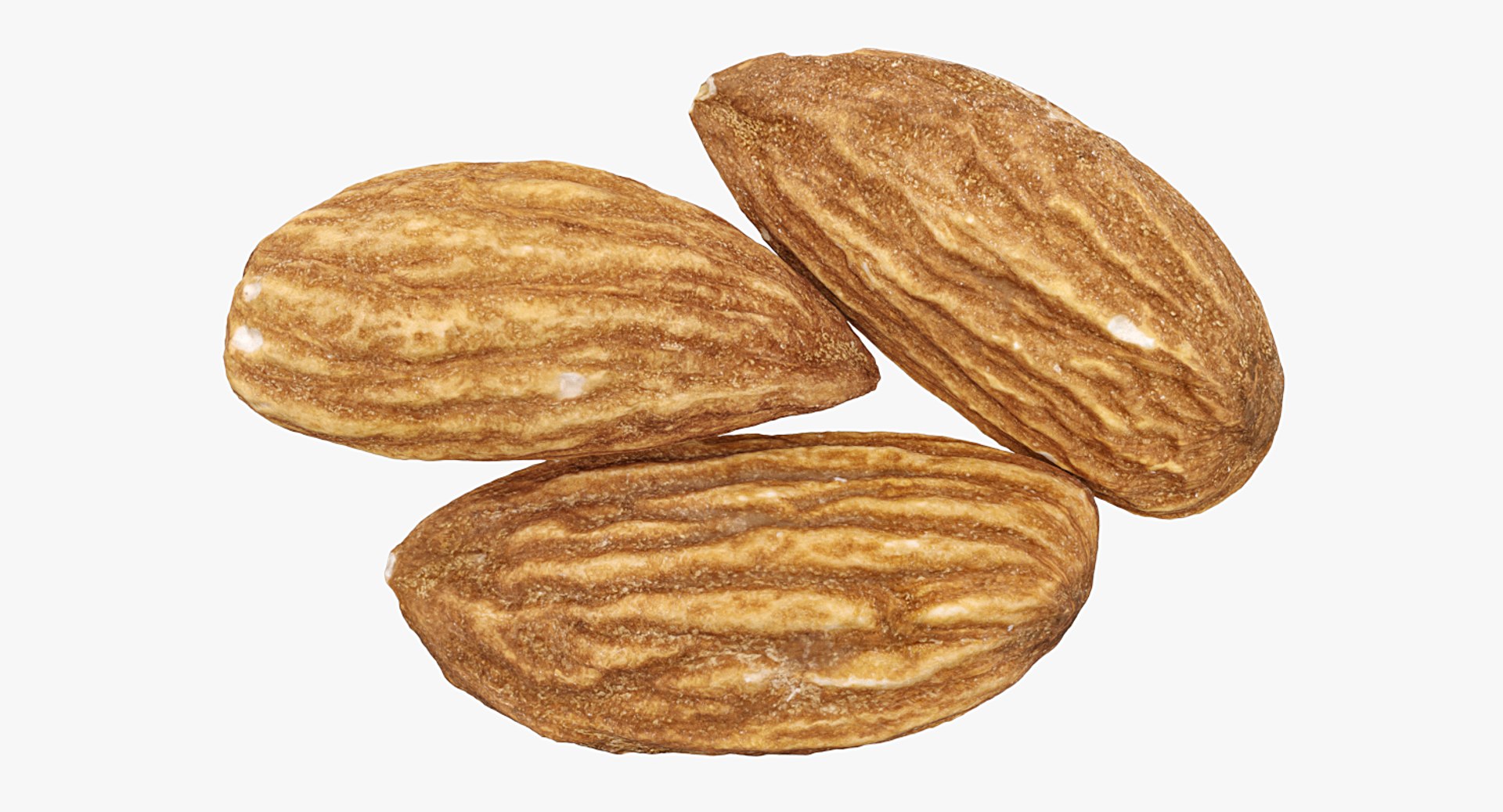 3D Realistic 3 Almonds - TurboSquid 1372162