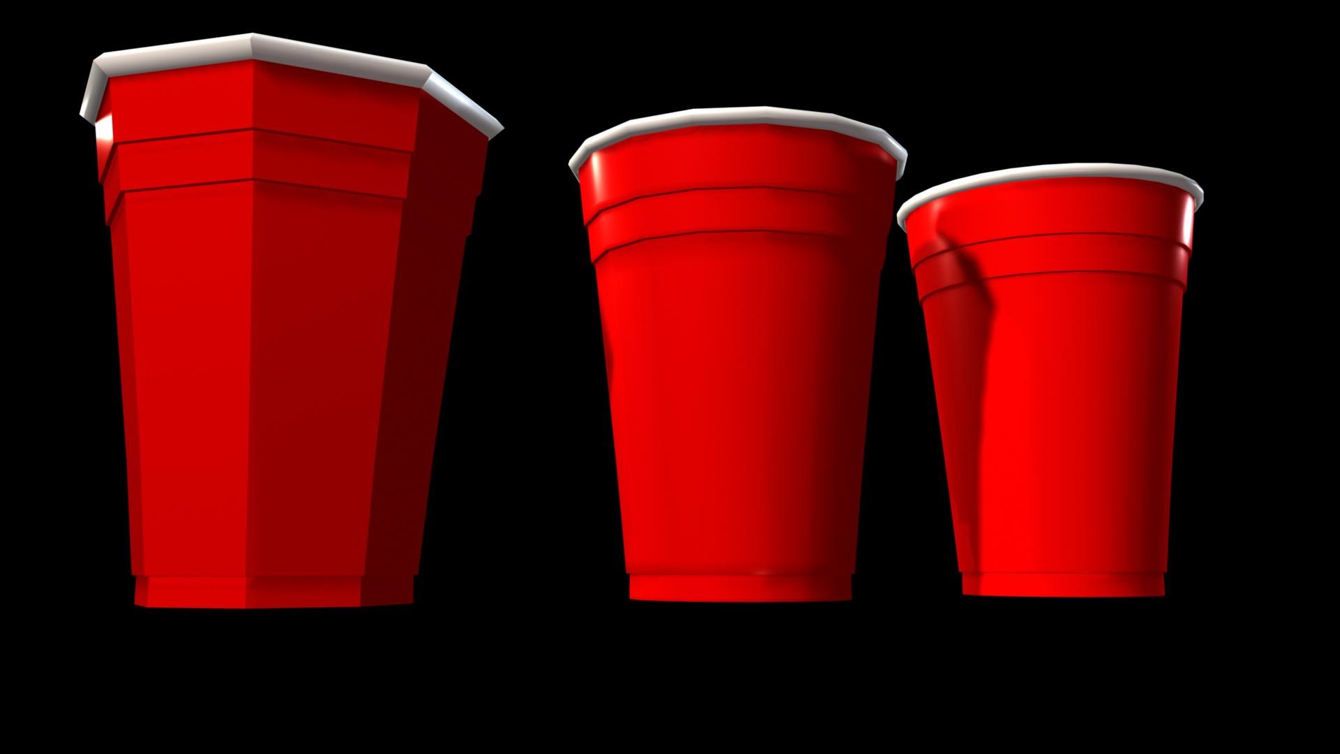 3d party cup