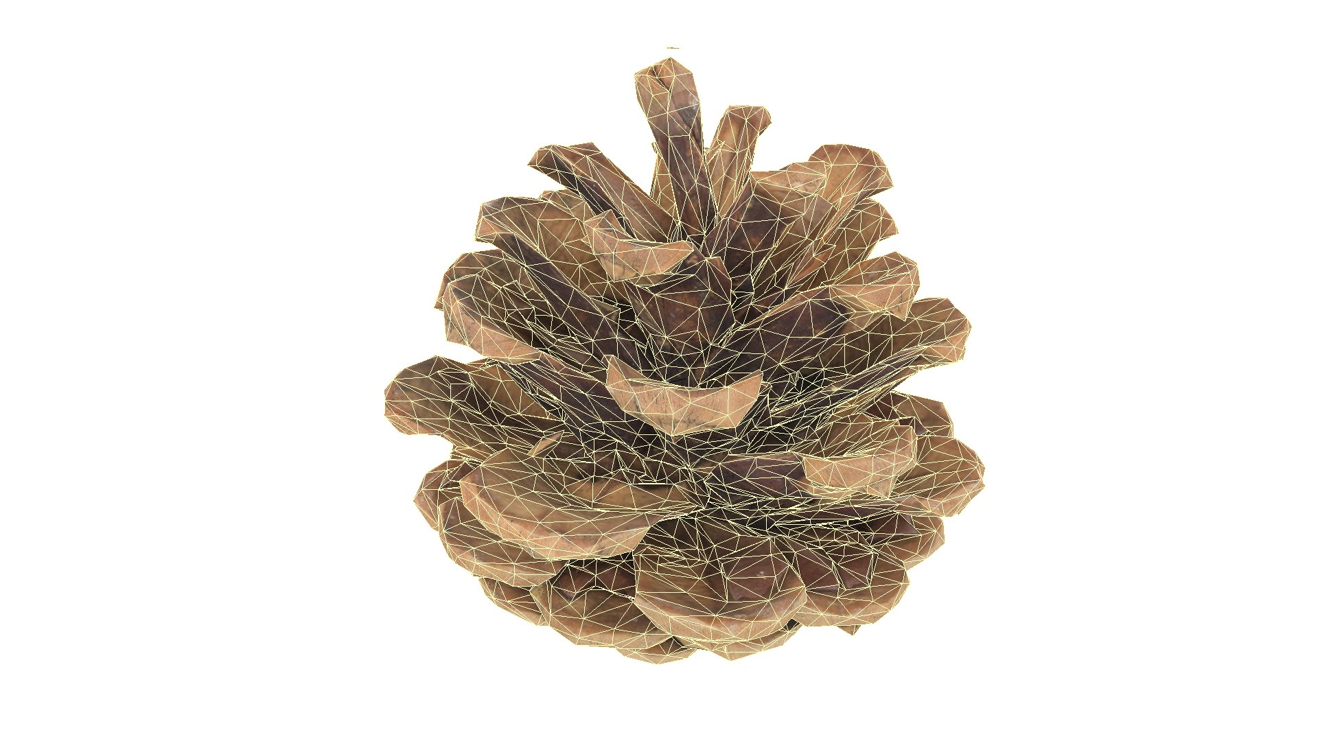 3D Pine Cone Set 2 - TurboSquid 1801791