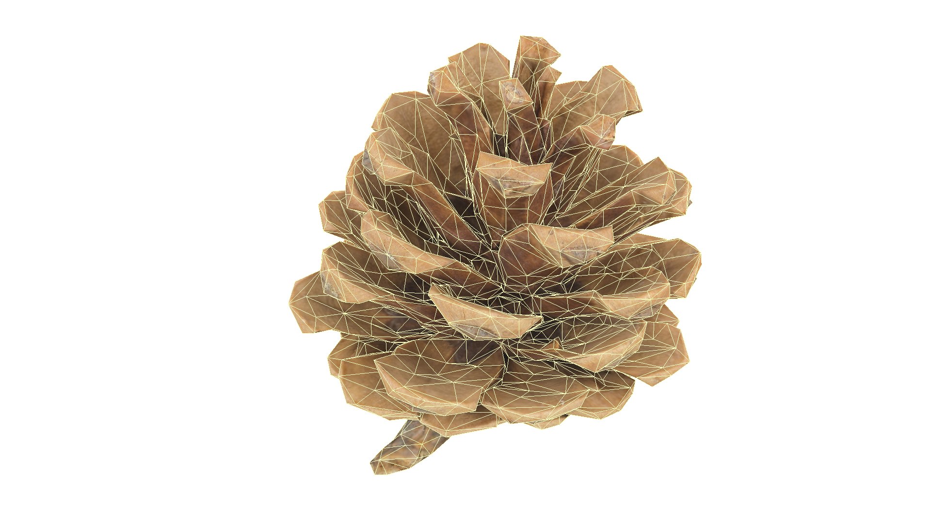 3D Pine Cone Set 2 - TurboSquid 1801791
