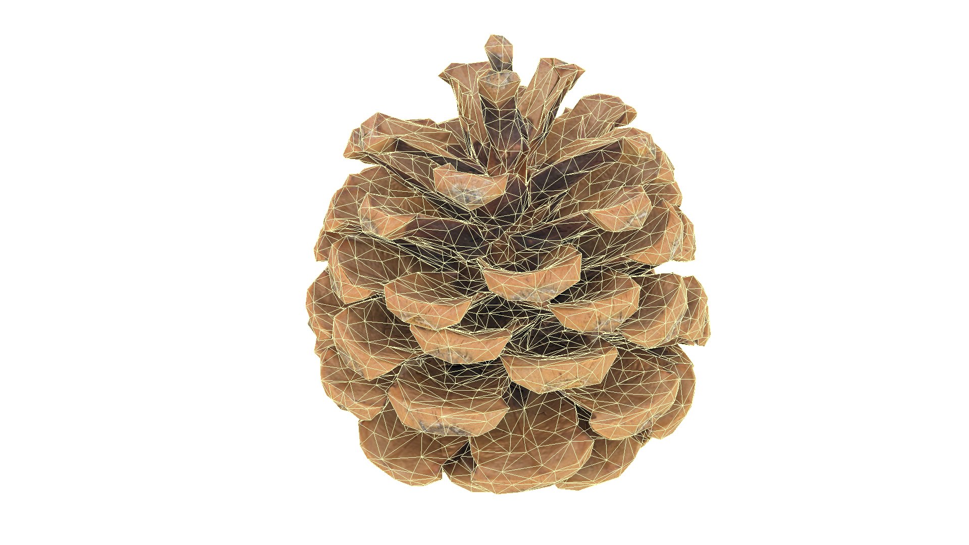 3D Pine Cone Set 2 - TurboSquid 1801791